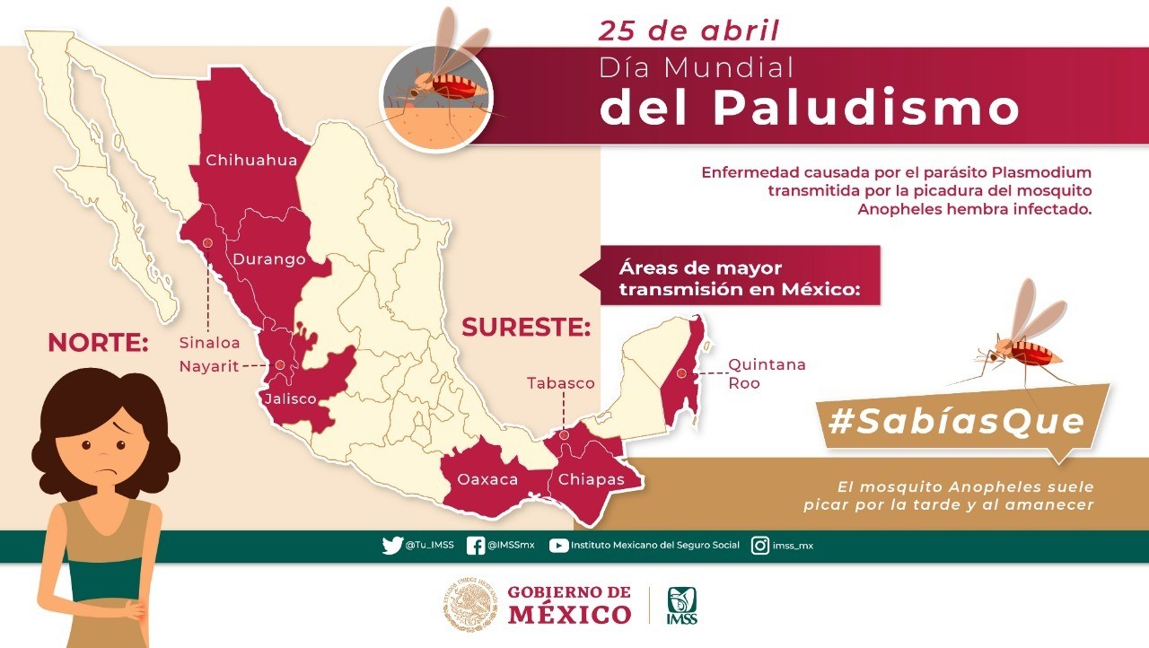 Mantiene Imss Vigilancia Epidemiológica Sobre Casos De Paludismo